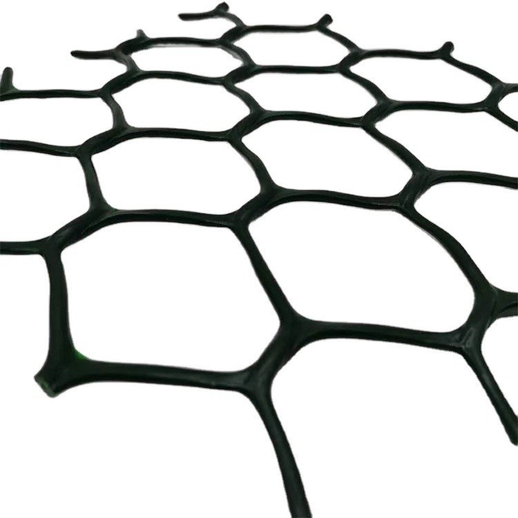 Anti-Ultraviolet HDPE Mesh for Modern Design Soil Reinforcement and ...