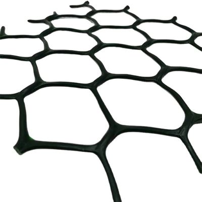 Anti-Ultraviolet HDPE Mesh for Modern Design Soil Reinforcement and ...